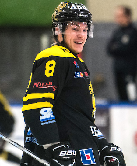 Rivermen Add Swedish Winger Hoglund